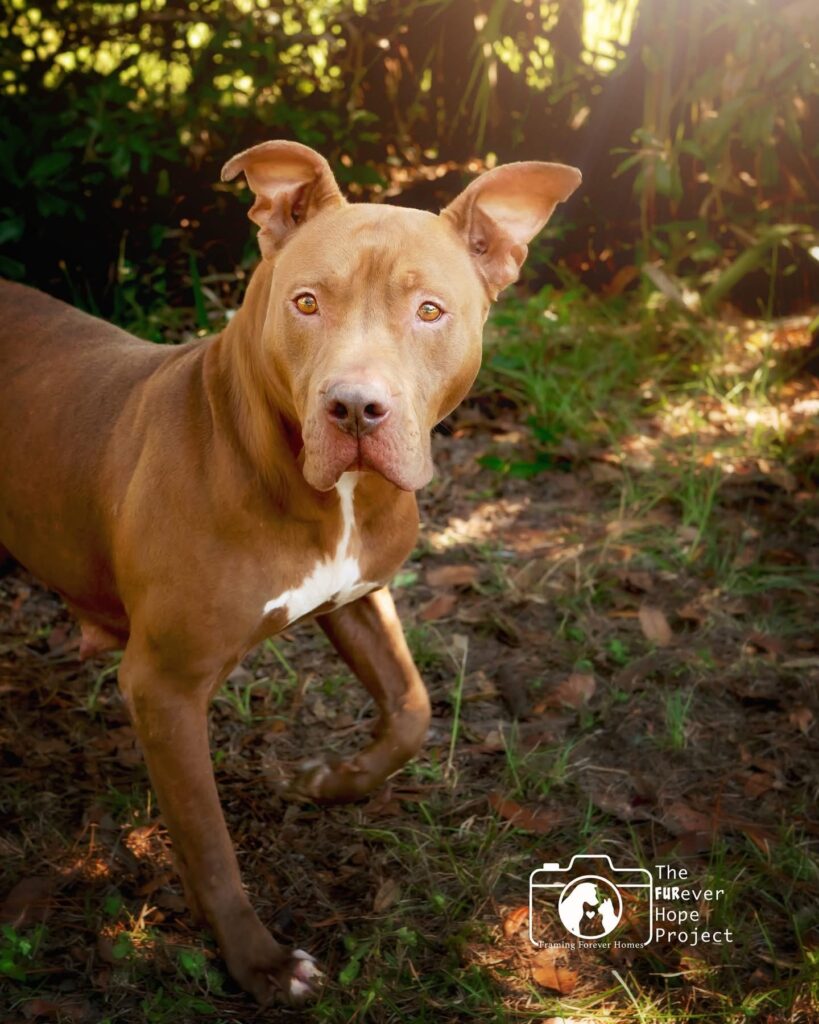 Putnam Pals – Putnam County Florida